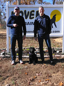 Trained Labrador Retrievers for Sale - Started Family Labs - Labrador ...