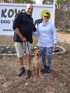 Trained Labrador Retrievers for Sale - Started Family Labs - Labrador ...